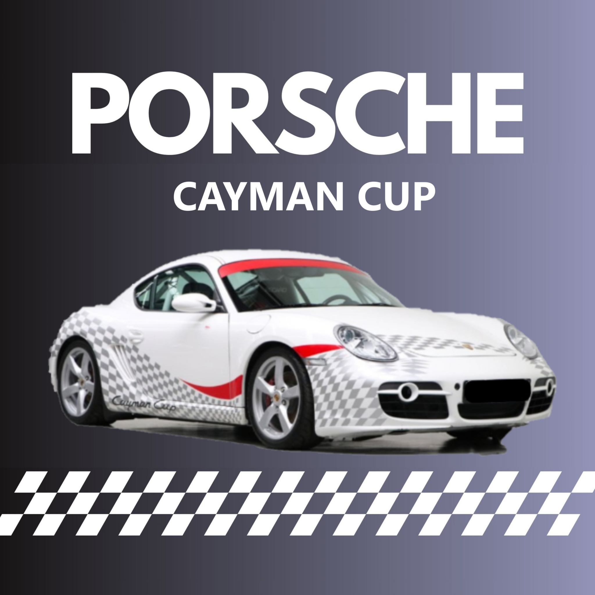 Porsche Cayman Cup - Circuit de l'Anneau du Rhin | Stage de Pilotage en ...